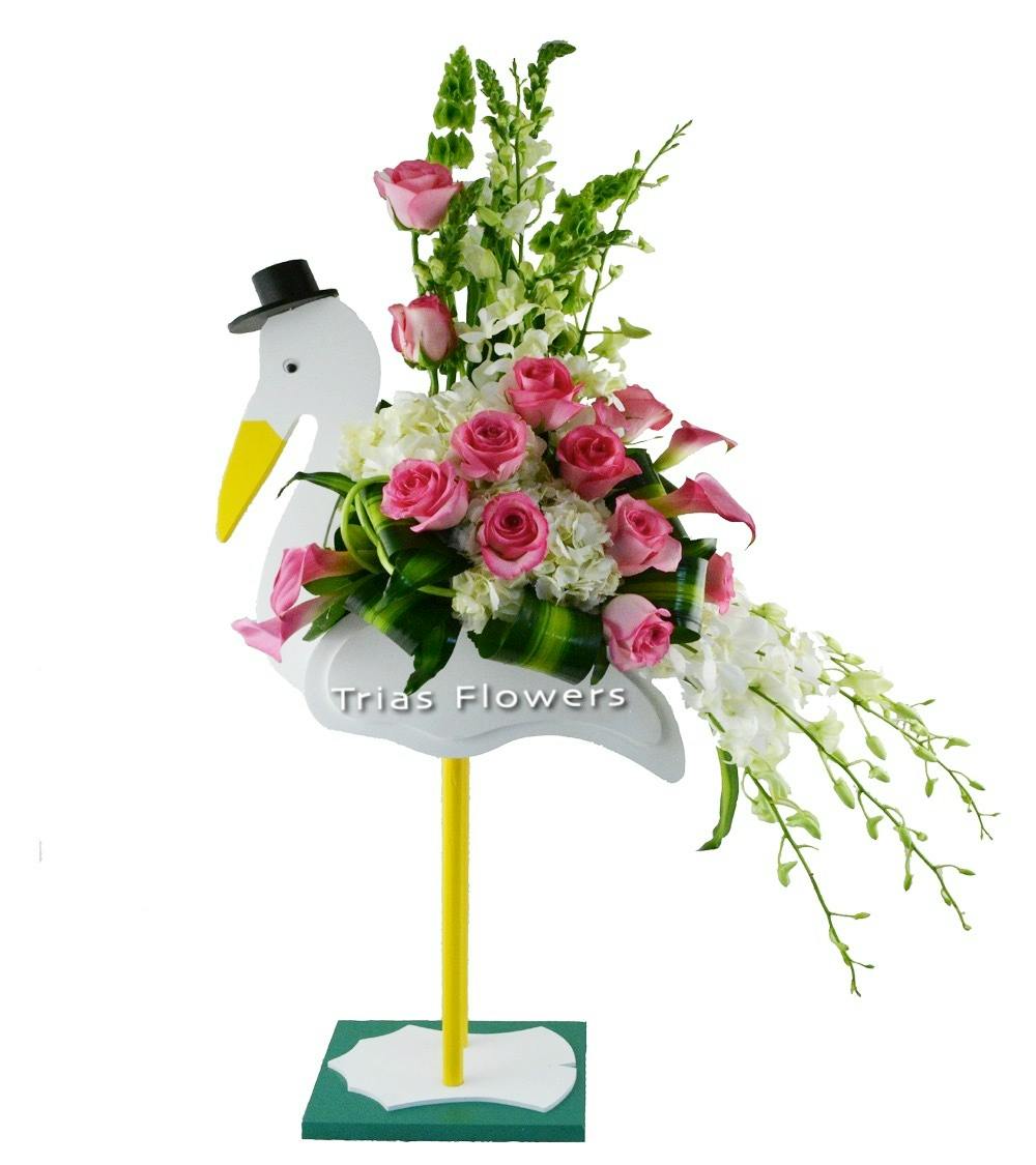 Baby Girl Stork Deluxe| Trias Flowers Miami Fl