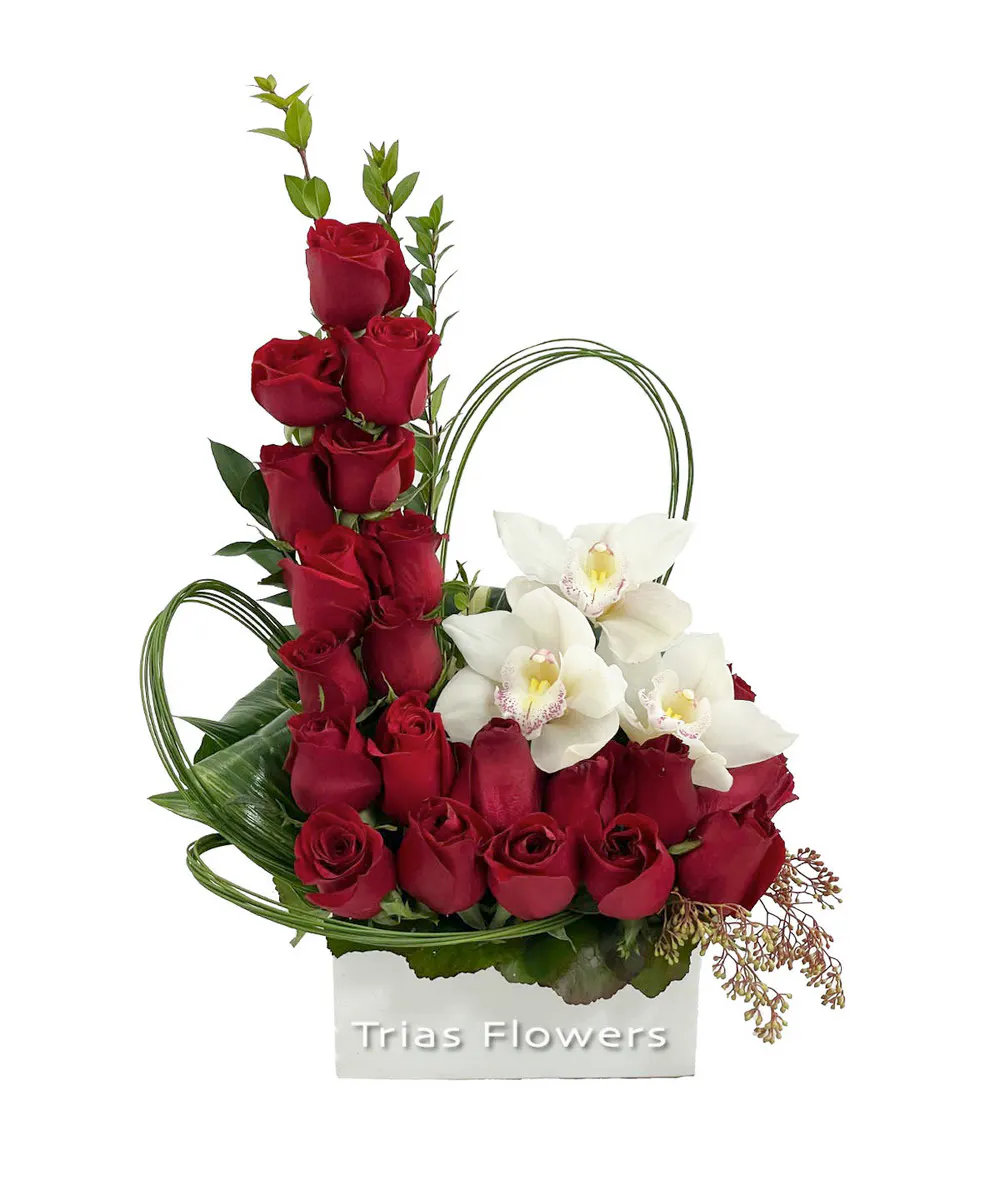 Red Rose Rising | Miami (FL) Same-Day Flower Delivery | Trias Flowers