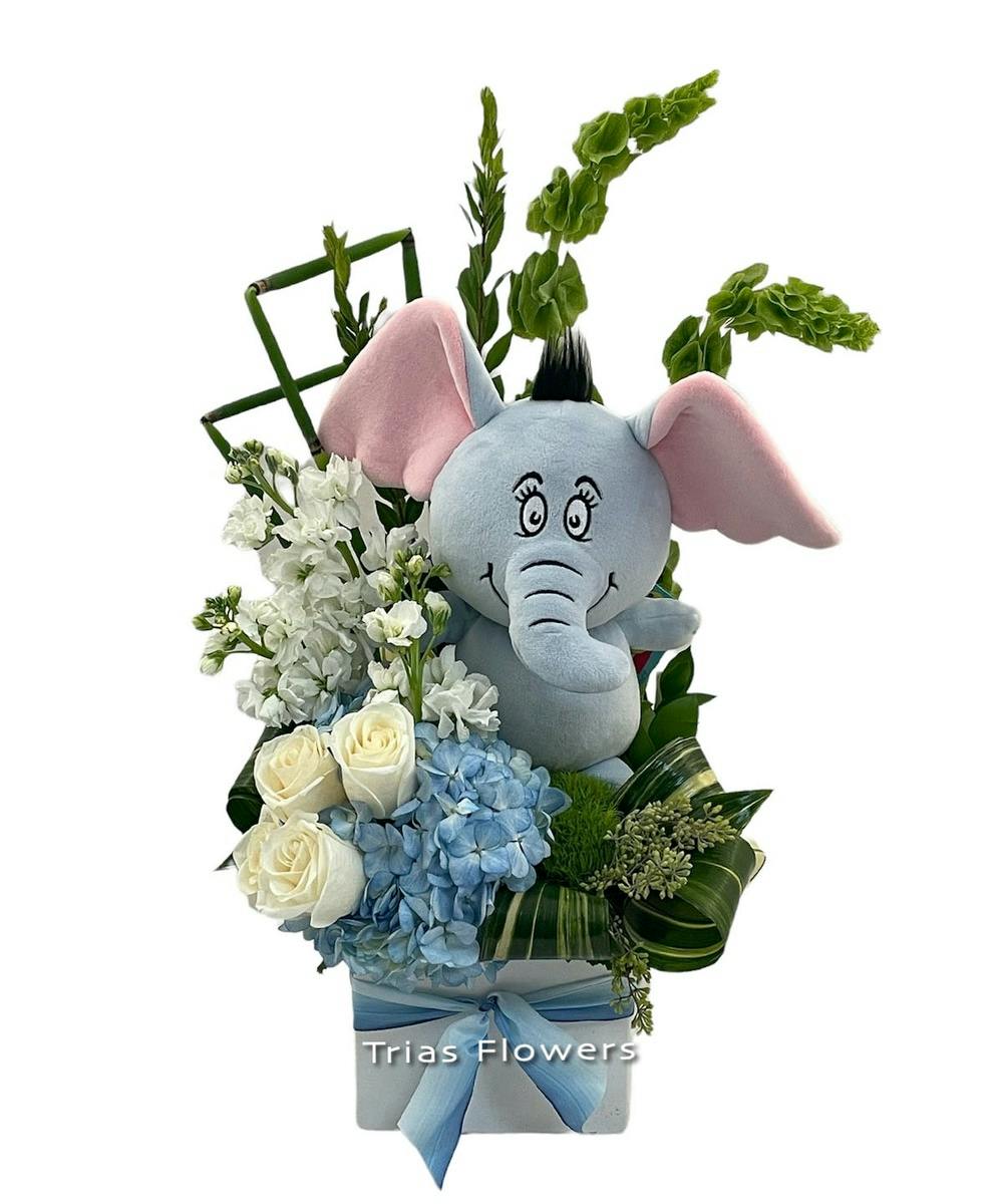 Baby Boy Squishy Horton